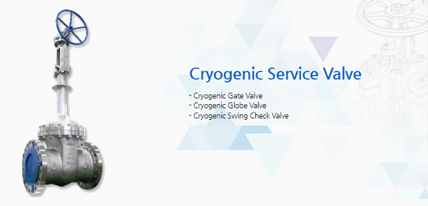 WORKIEUM - 에이치엘씨(주)